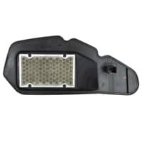 Element Set Air Cleaner Lbl PCX 150 CBU K36J 17220K36N10
