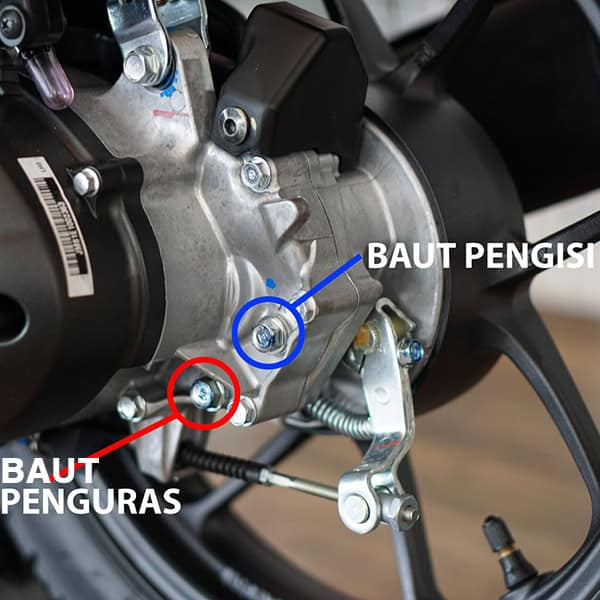 Cara Mudah Mengganti Oli Gardan Sepeda Motor Honda Matic